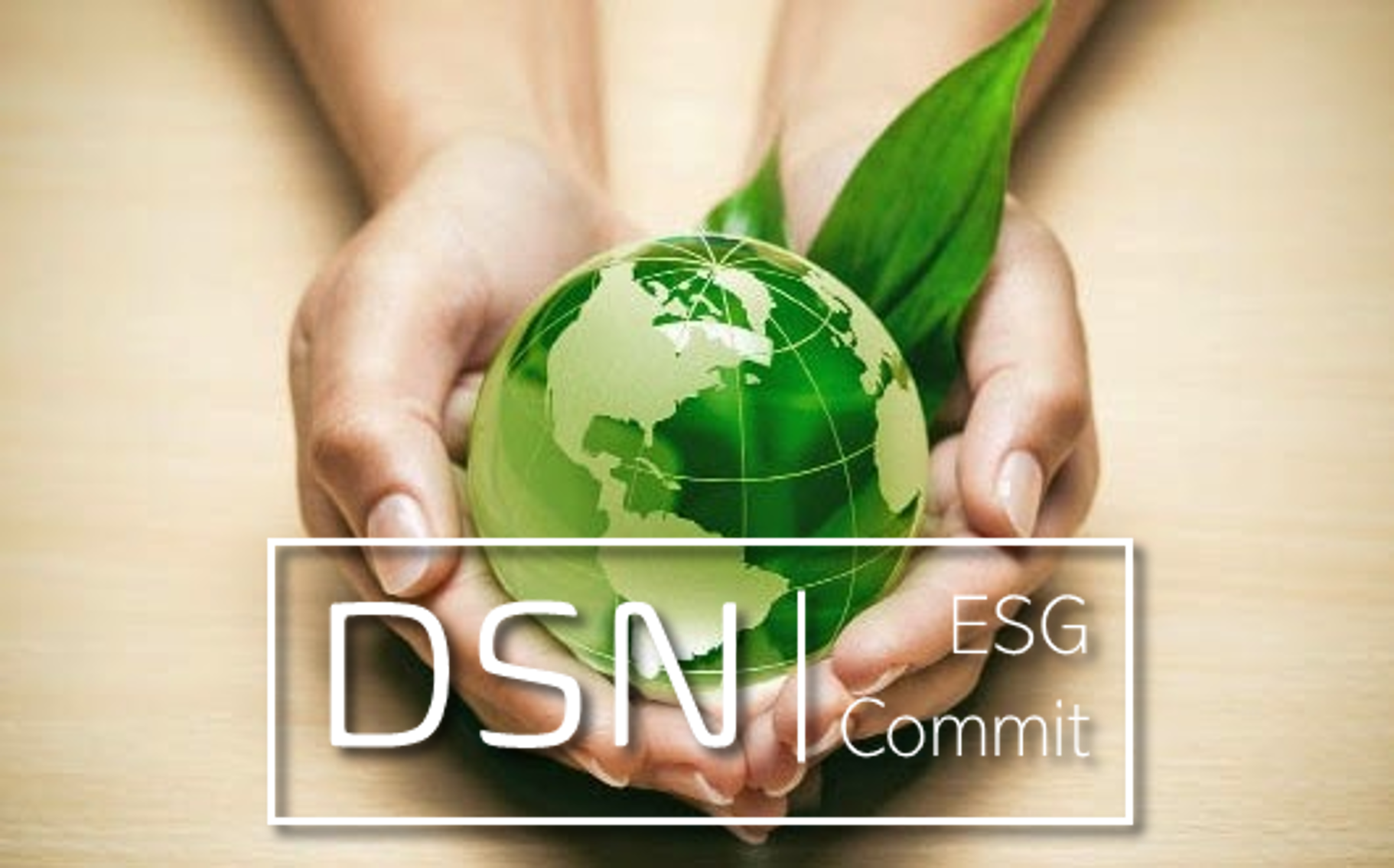 ESG: ENVIROMENTAL, SOCIAL & GOVERNANCE – DS Network